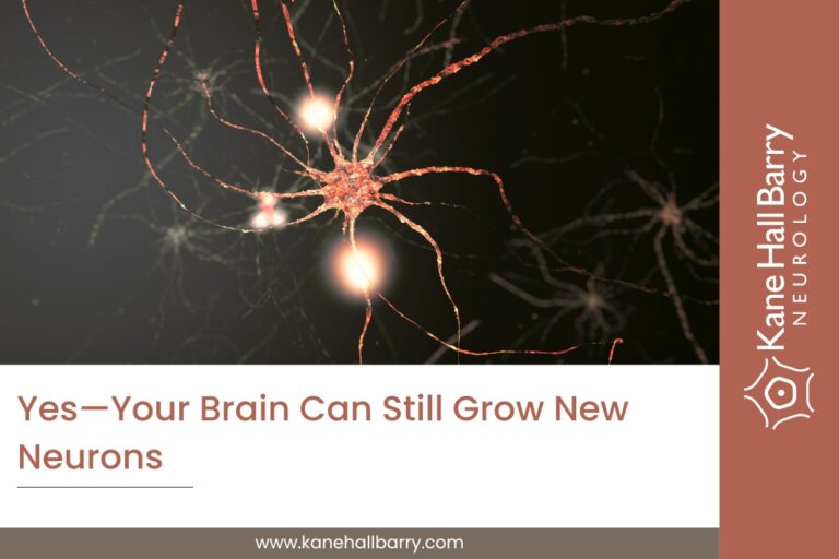 Yes, Adults Can Grow New Brain Cells - Kane Hall Barry Neurology