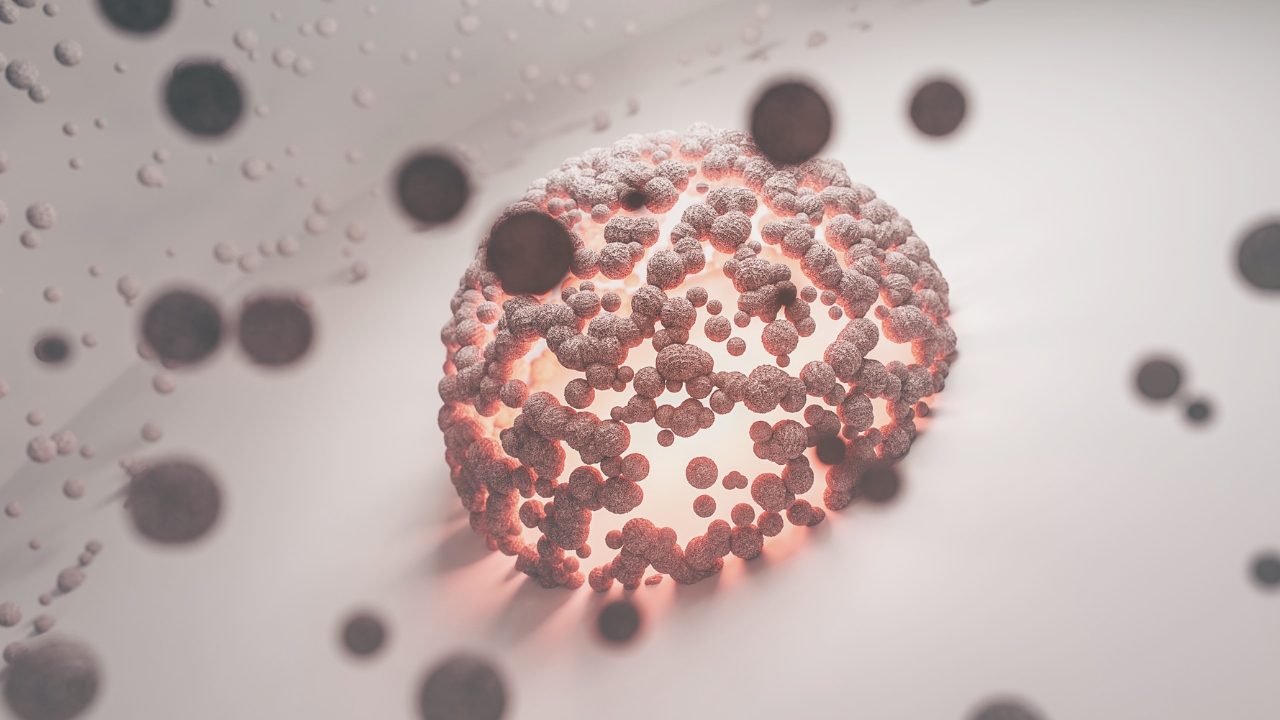 Yes, Adults Can Grow New Brain Cells - Kane Hall Barry Neurology